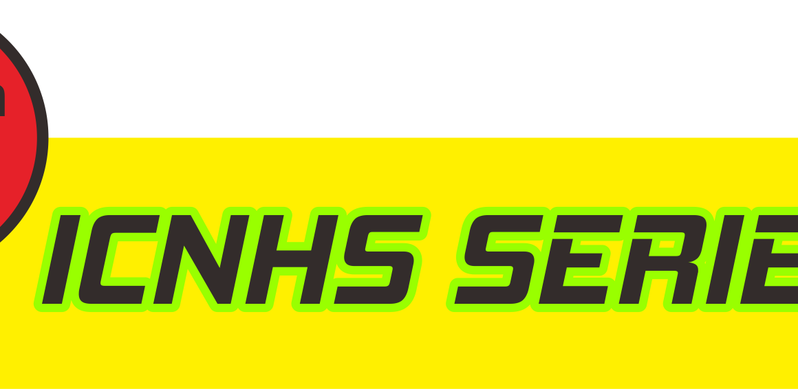 The 14 ICNHS:Improving Maternal and Child Health Through The Role of ...